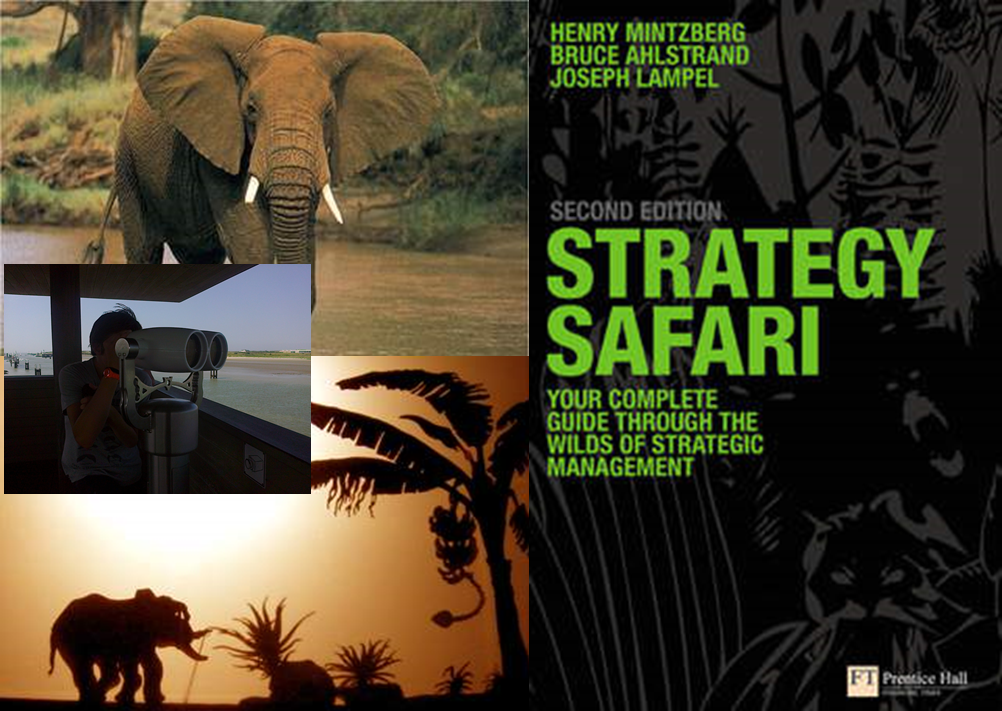 Stratégies projetées, délibérées ou émergentes? identifier l’éléphant ...